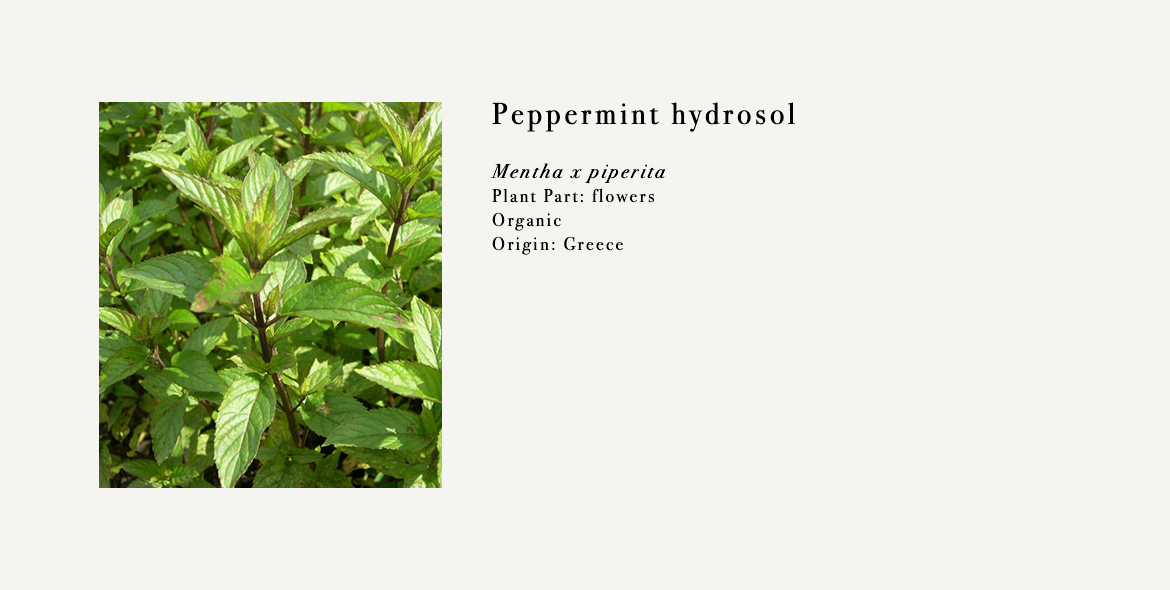 Essential Oils and essential oils diffuser | ZAYAT AROMA